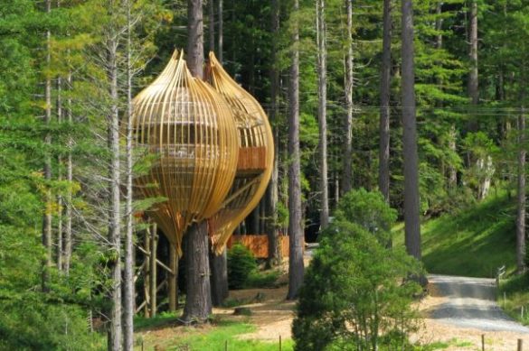 Unique and creative tree houses to nestle you in comfort - Designbuzz